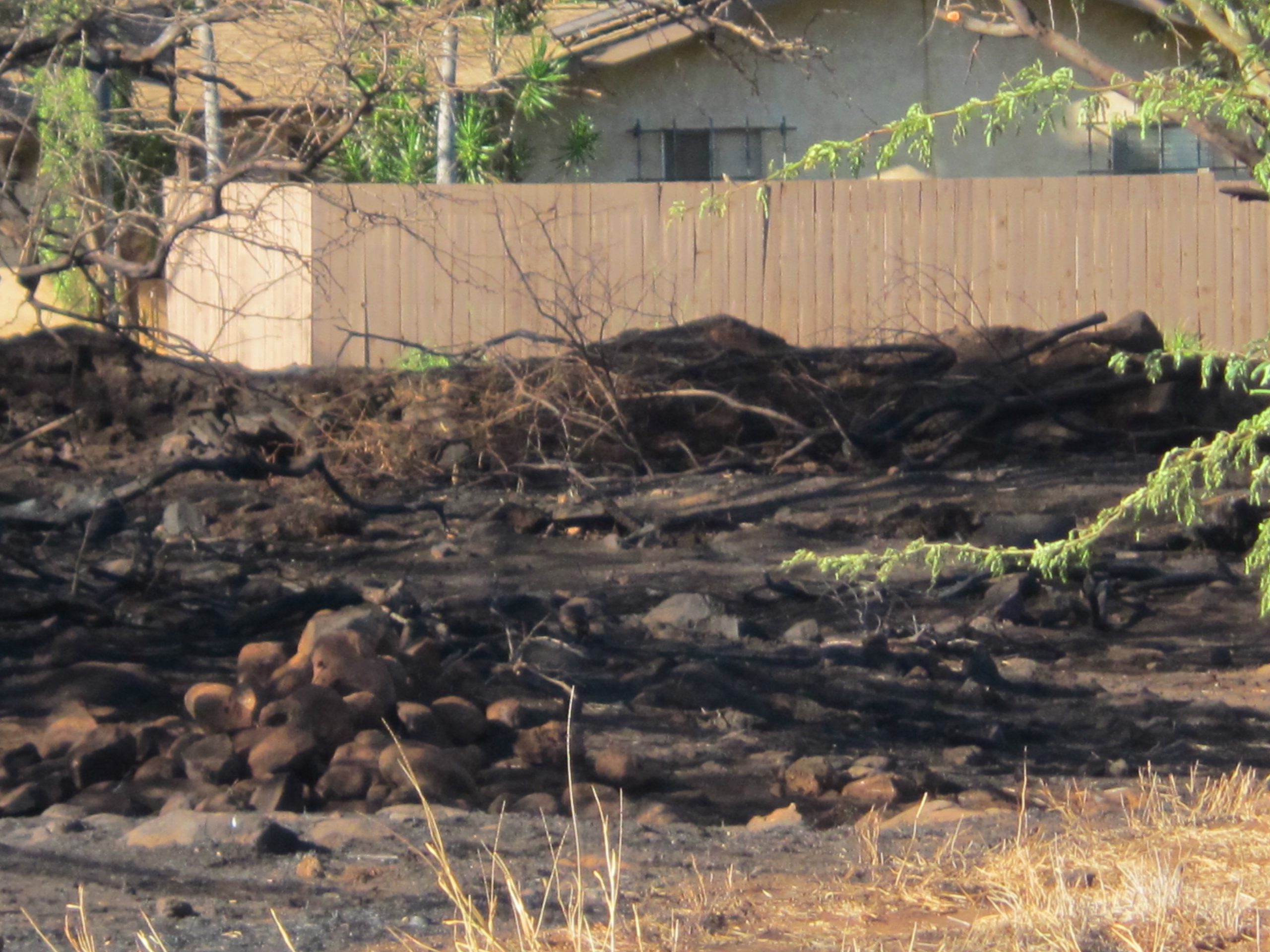 Weed fire on land set to break ground for work force housing project ...