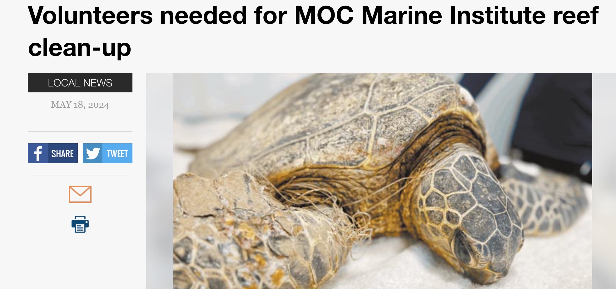 Volunteers needed for MOC Marine Institute reef clean-up | Kihei ...